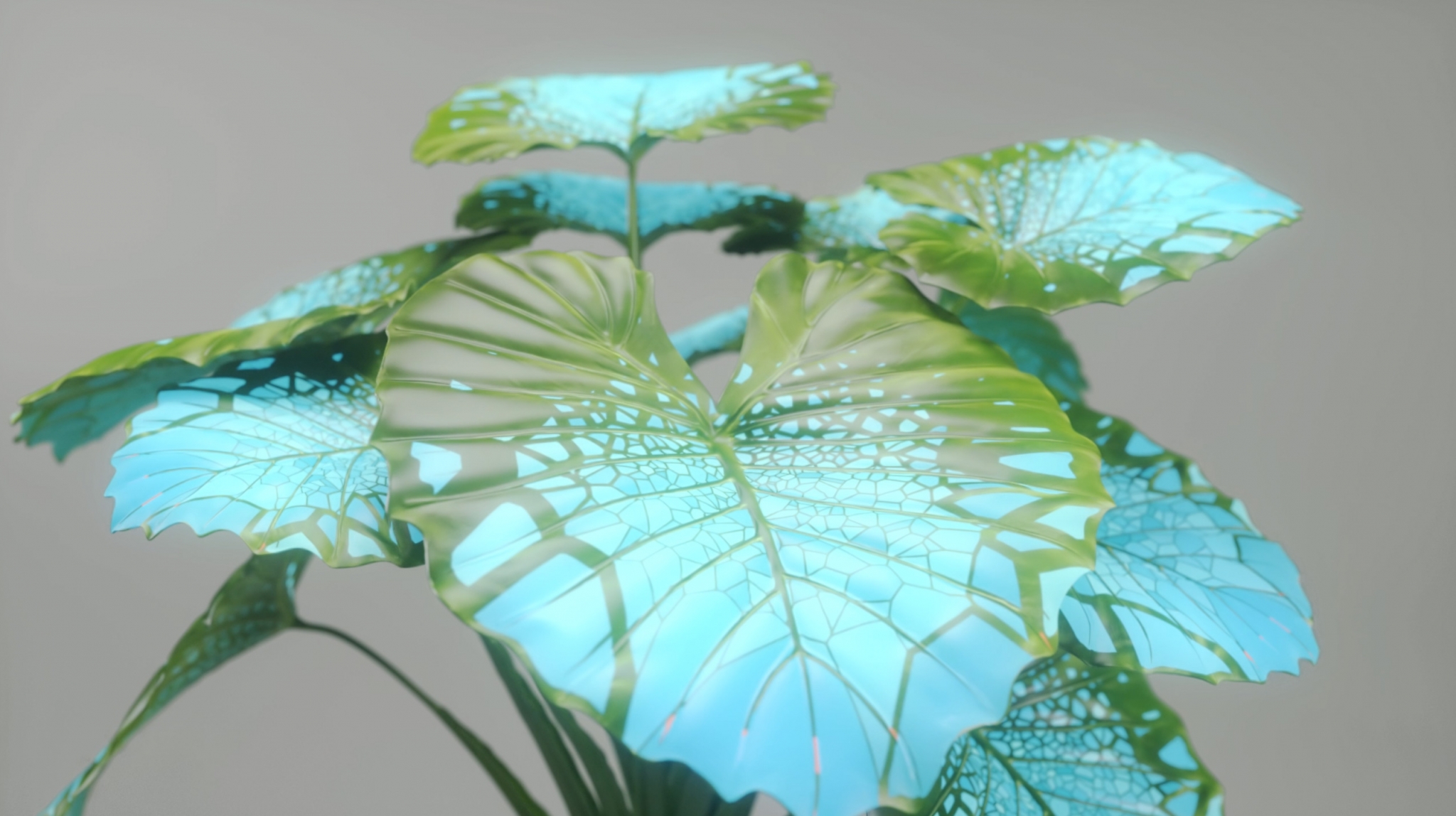 Screens of the Future – Plants – UE Editions